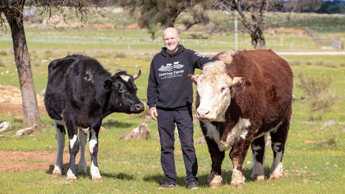 Furever Farm gives retired animals a home, sweet home