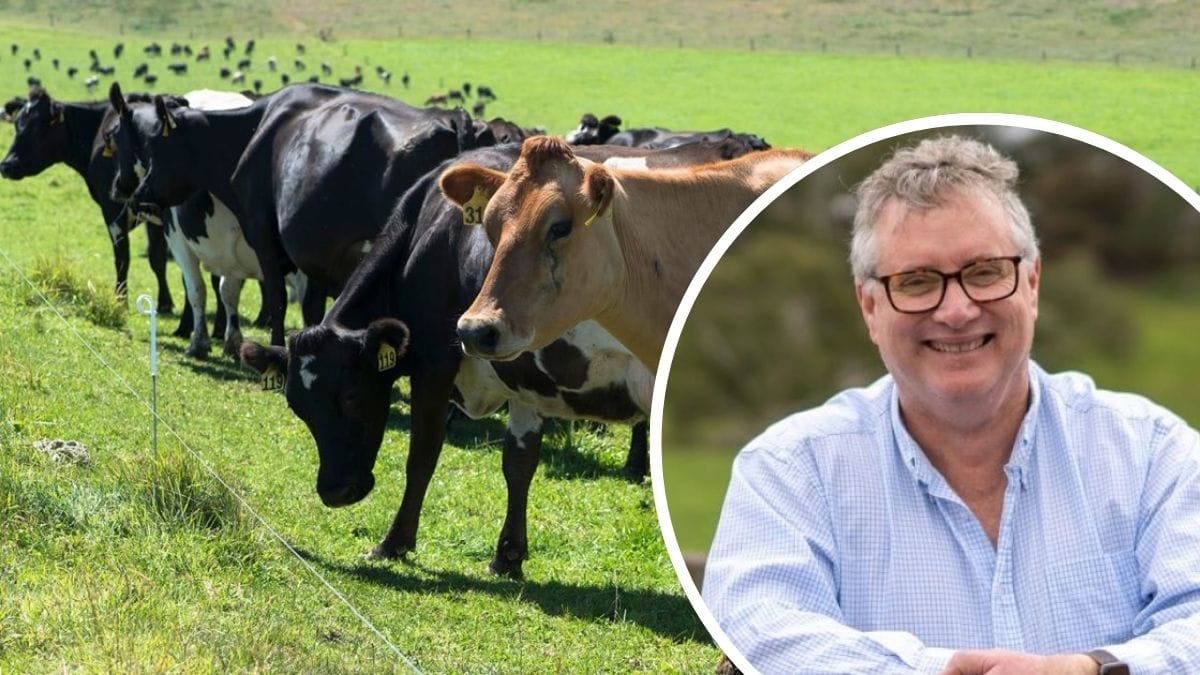 Dairy farmers impacted by Beston closure will share $3m worth of support