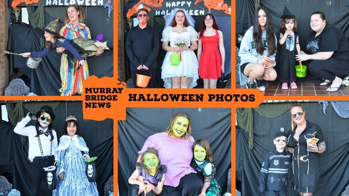 Social photos: Halloween 2025