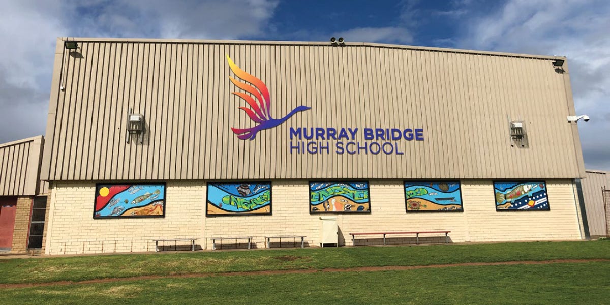 Murray Bridge High School's new logo options revealed