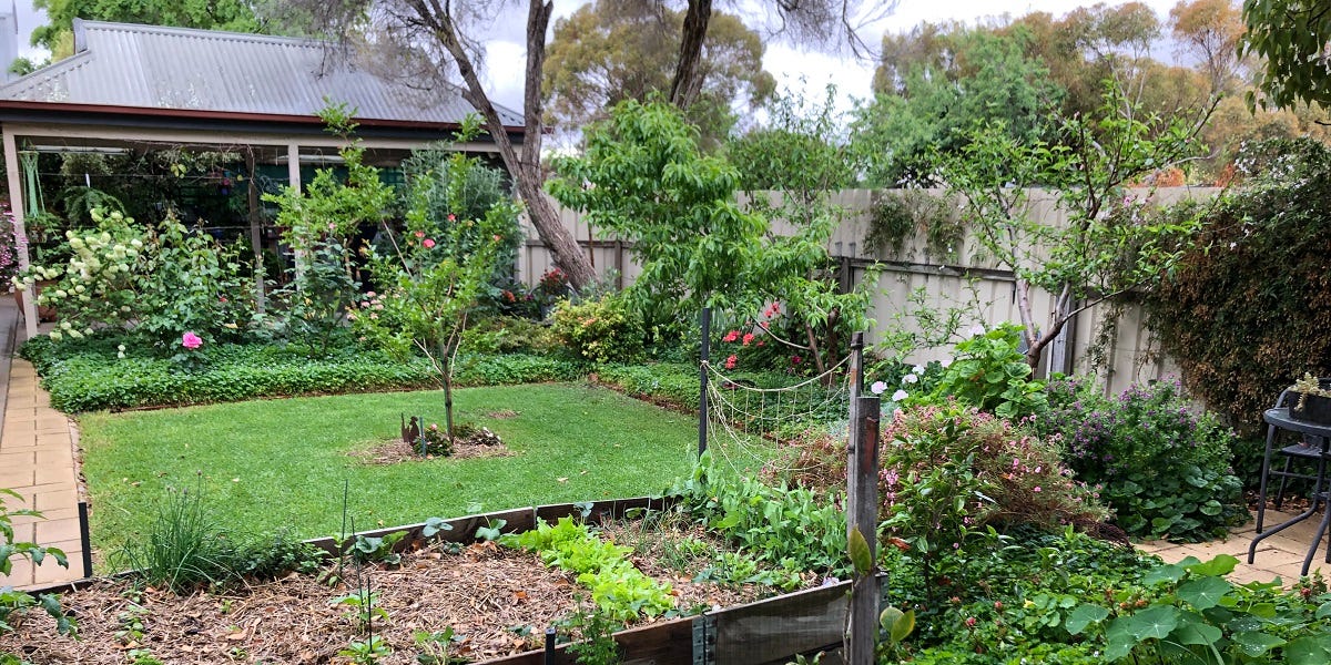 Spring garden competition opens for 2020