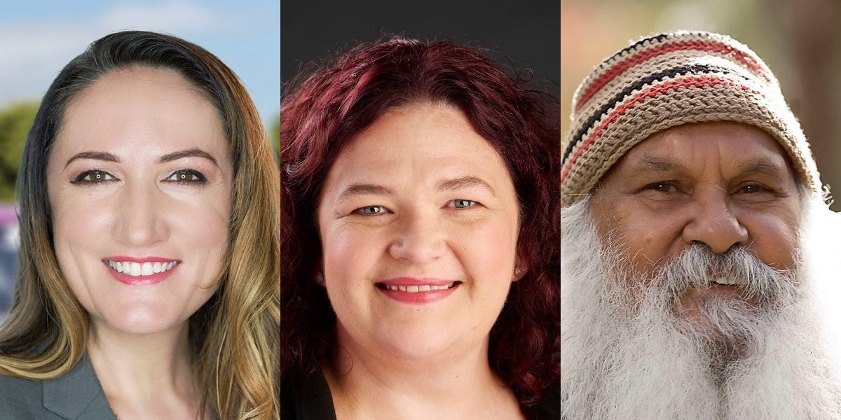 Lisa Sherry, Belinda Owens, Moogy Sumner launch Senate tilts