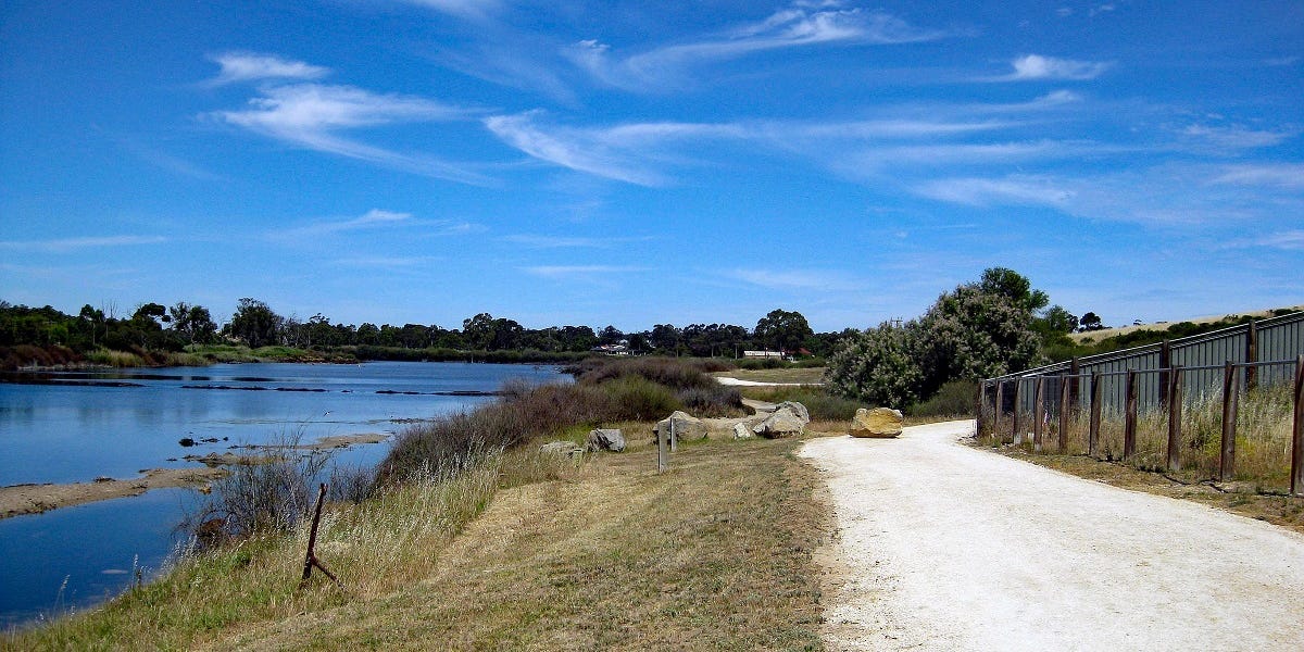 Walk of the month: Narooma Wetland, Murray Bridge