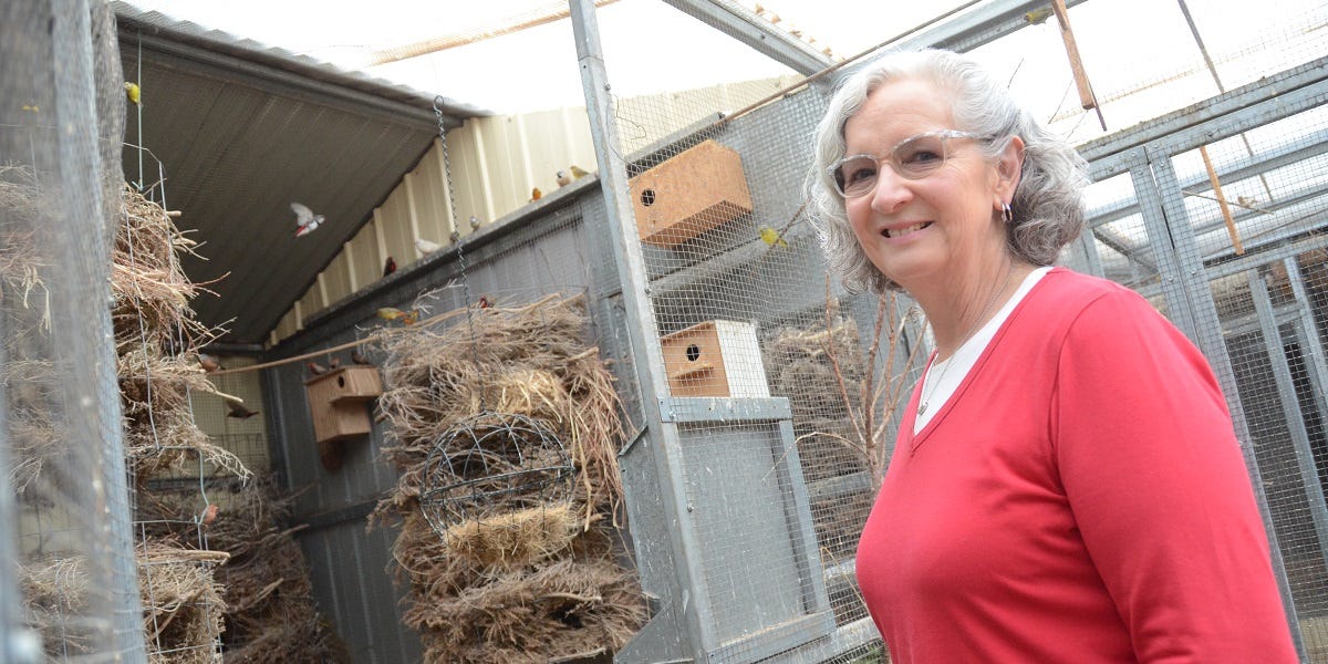 Join in ... with the Lower Murray Bird Club