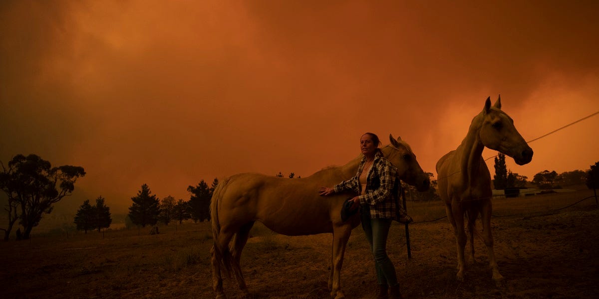 Bushfire refuge for horses to be built in Murray Bridge
