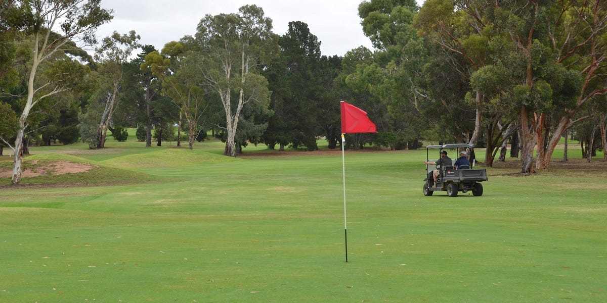 Sports Reports: Golf reports tee off