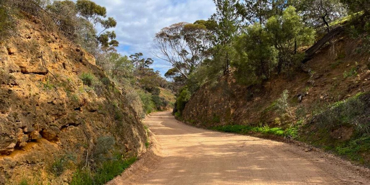 Sunnyside Road upgrade planned - by Peri Strathearn