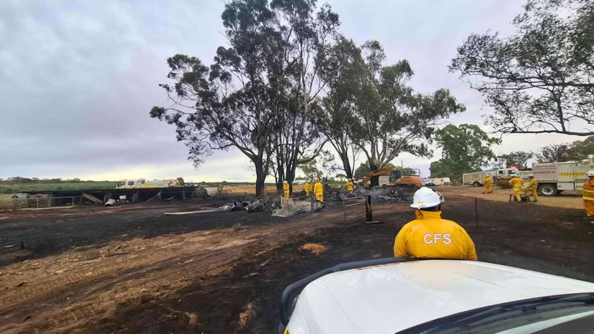 CFS volunteers bring Woodlane fire under control