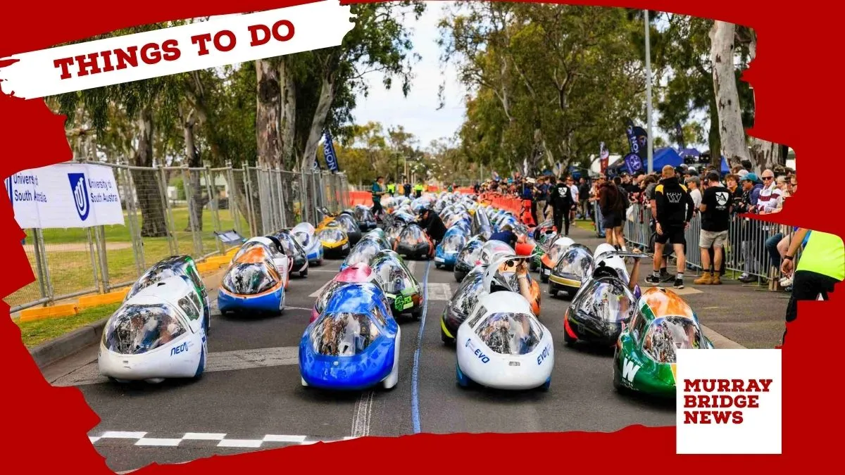 Murray Bridge News | Independent | Local