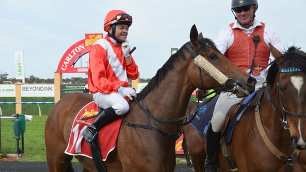Wellington trainer Michael Hickmott wins his first Gold Cup