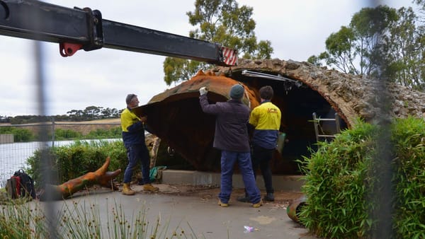 Bunyip escapes! - by Peri Strathearn - Murray Bridge News
